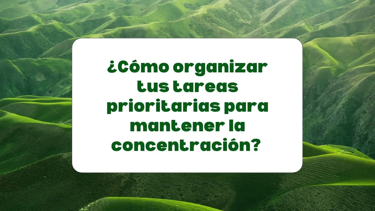 Organizar las tareas prioritarias para mantener la concentración